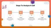 Biology Activities For Middle School Eukaryotic Cells PPT