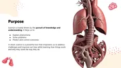 Anatomy Physiology Lesson For College Aesthetic PPT