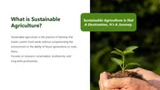 Sustainable Agriculture Presentation And Canva Template