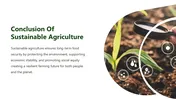 Sustainable Agriculture Presentation And Canva Template
