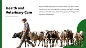 Cow Farming Presentation And Google Slides Template