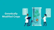 Genetically Modified Crops Presentation And Google Slides