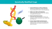 Genetically Modified Crops Presentation And Google Slides