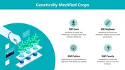 Genetically Modified Crops Presentation And Google Slides