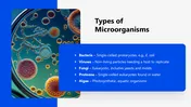 Microbiology PowerPoint Presentation And Canva Templates