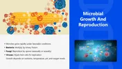 Microbiology PowerPoint Presentation And Canva Templates