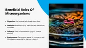 Microbiology PowerPoint Presentation And Canva Templates