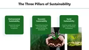 Sustainability Presentation And Google Slides Template