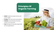 Organic Farming PPT Presentation And Canva Templates