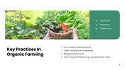 Organic Farming PPT Presentation And Canva Templates