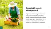 Organic Farming PPT Presentation And Canva Templates