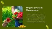Organic Farming PowerPoint PowerPoint And Google Slides