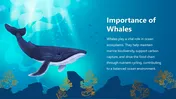 World Whale Day PowerPoint Presentation And Google Slides