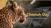 International Cheetah Day Presentation And Google Slides