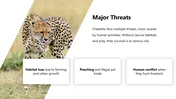 International Cheetah Day Presentation And Google Slides