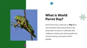 World Parrot Day PPT Presentation And Canva Template