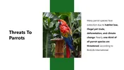 World Parrot Day PPT Presentation And Canva Template