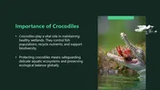 World Crocodile Day Presentation And Google Slides