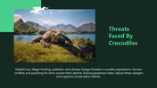 World Crocodile Day Presentation And Google Slides