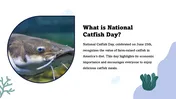 National Catfish Day Presentation And Google Slides