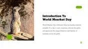 Celebrate World Meerkat Day PPT And Google Slides