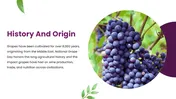 National Grape Day Presentation And Google Slides