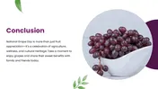 National Grape Day Presentation And Google Slides