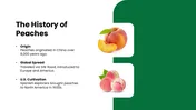 National Peach Month Presentation And Google Slides