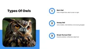 International Owl Awareness Day PPT And Canva Templates