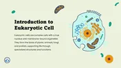 Get Now! Biology Subject For High School Eukaryotic Cell