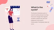 Biology Subject For High School Menstrual Cycle PowerPoint