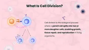 Biology Subject For High School Cell Division PowerPoint