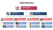 Team Structure PowerPoint Presentation And Google Slides
