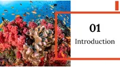 World Reef Day PowerPoint and Google Slides Templates