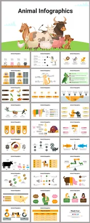 Discover The Animal Infographics PowerPoint Presentation