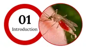 Get Ready to Use World Malaria Day PowerPoint Presentation