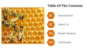 US Honey Bee Day PowerPoint And Google Slides Templates