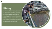 Fish Farming Business Plan PPT And Google Slides Templates