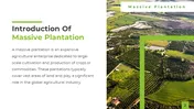 Massive Plantation PPT and Google Slides Templates