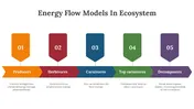 Energy Flow Models In Ecosystem Google Slides Templates