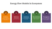 Energy Flow Models In Ecosystem Google Slides Templates