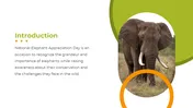 National Elephant Appreciation Day Google Slides Themes