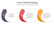 Cross-Cultural Training PPT And Google Slides Templates