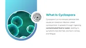 Get The Cyclospora PPT, Google Slides, And Canva Templates