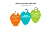 UseThe Diversification Strategy PPT And Canva Template