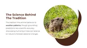 Groundhog Day PPT Presentation And Canva Template
