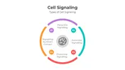 Get This Cell Signaling PowePoint And Canva Template