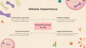 Biology Subject For Middle School Cell Cycle And Mitosis