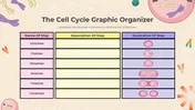 Biology Subject For Middle School Cell Cycle And Mitosis