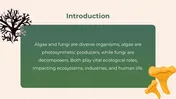 Biology Subject For High School Algae And Fungi PowerPoint